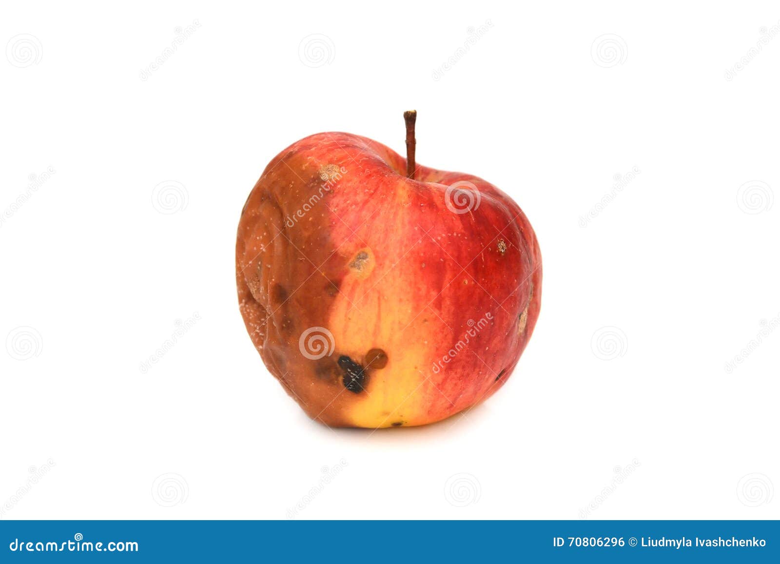 Red rotten apple. stock photo. Image of food, isolated - 70806296