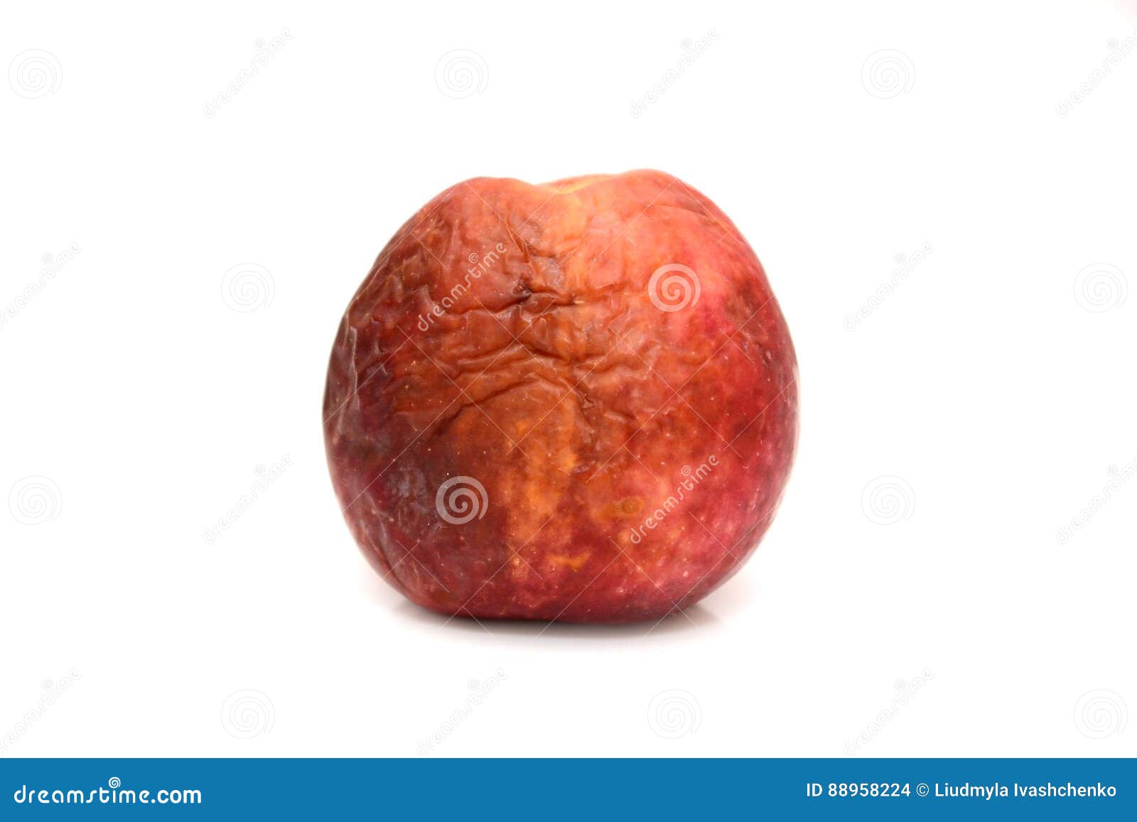 Red Rotten Apple. Natural Color and Texture Stock Photo - Image of ...