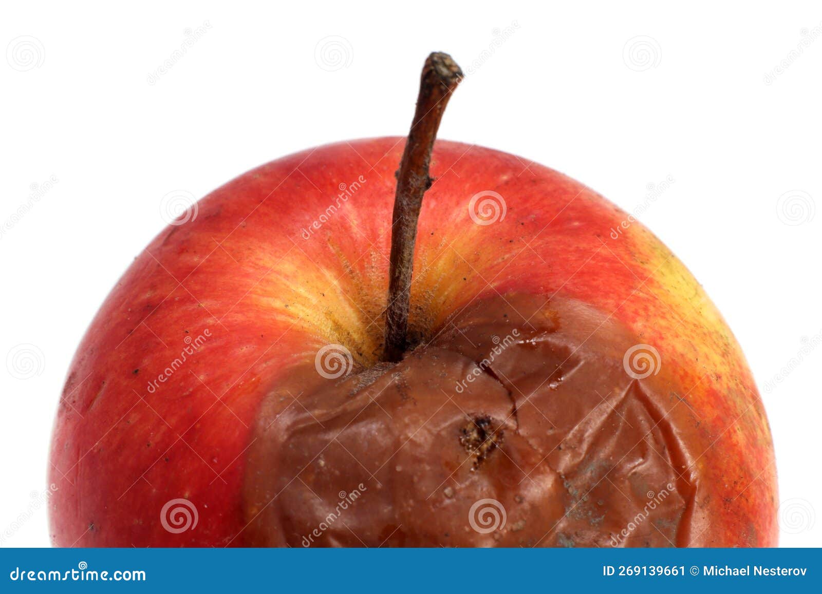 Rotten Spoiled Persimmon In Disposable Plastic Bag On Grey Background ... Rotten Spoiled Persimmon In Disposable Plastic Bag On Grey Background ...