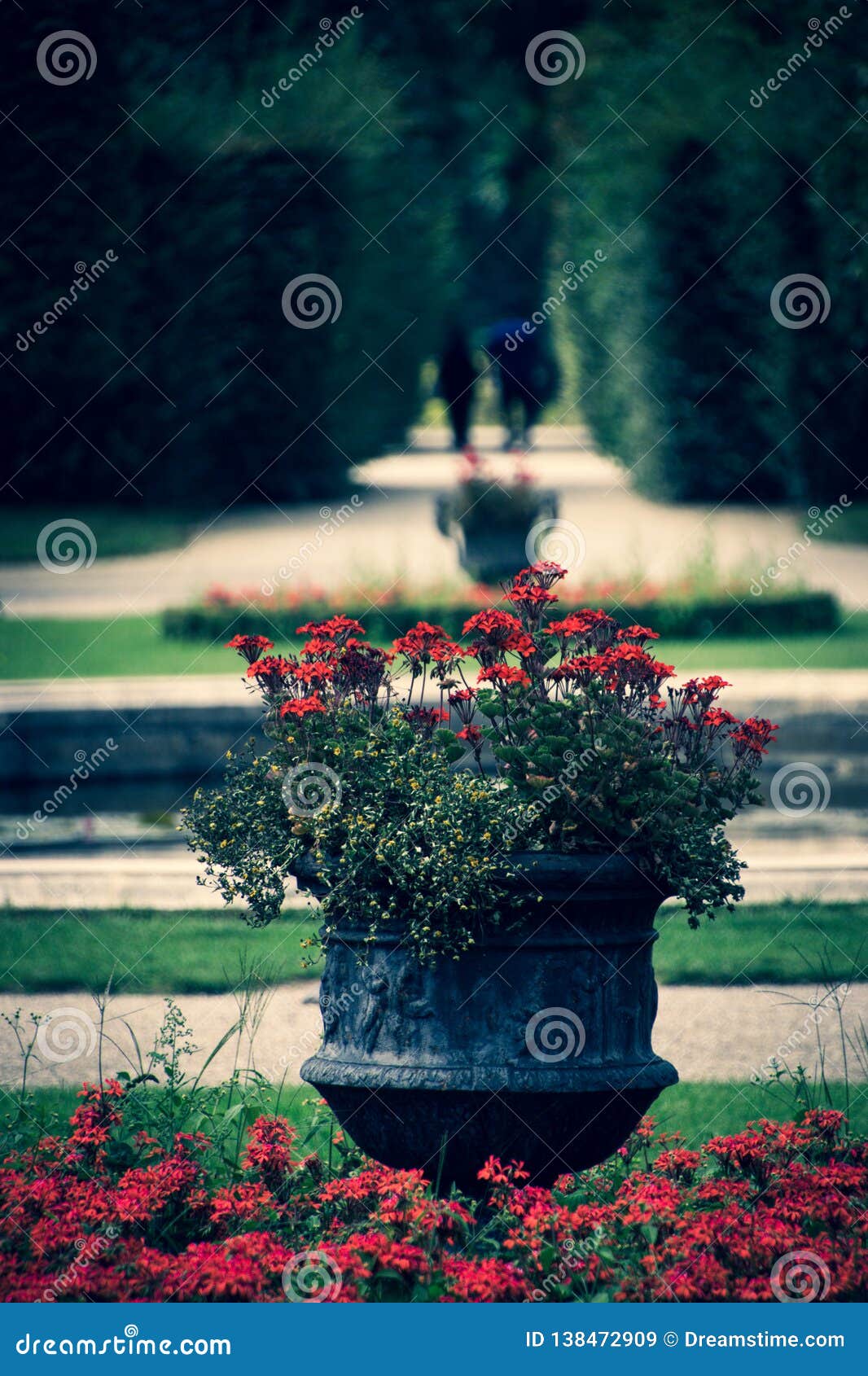 The Red Royal View stock image. Image of green, royal - 138472909