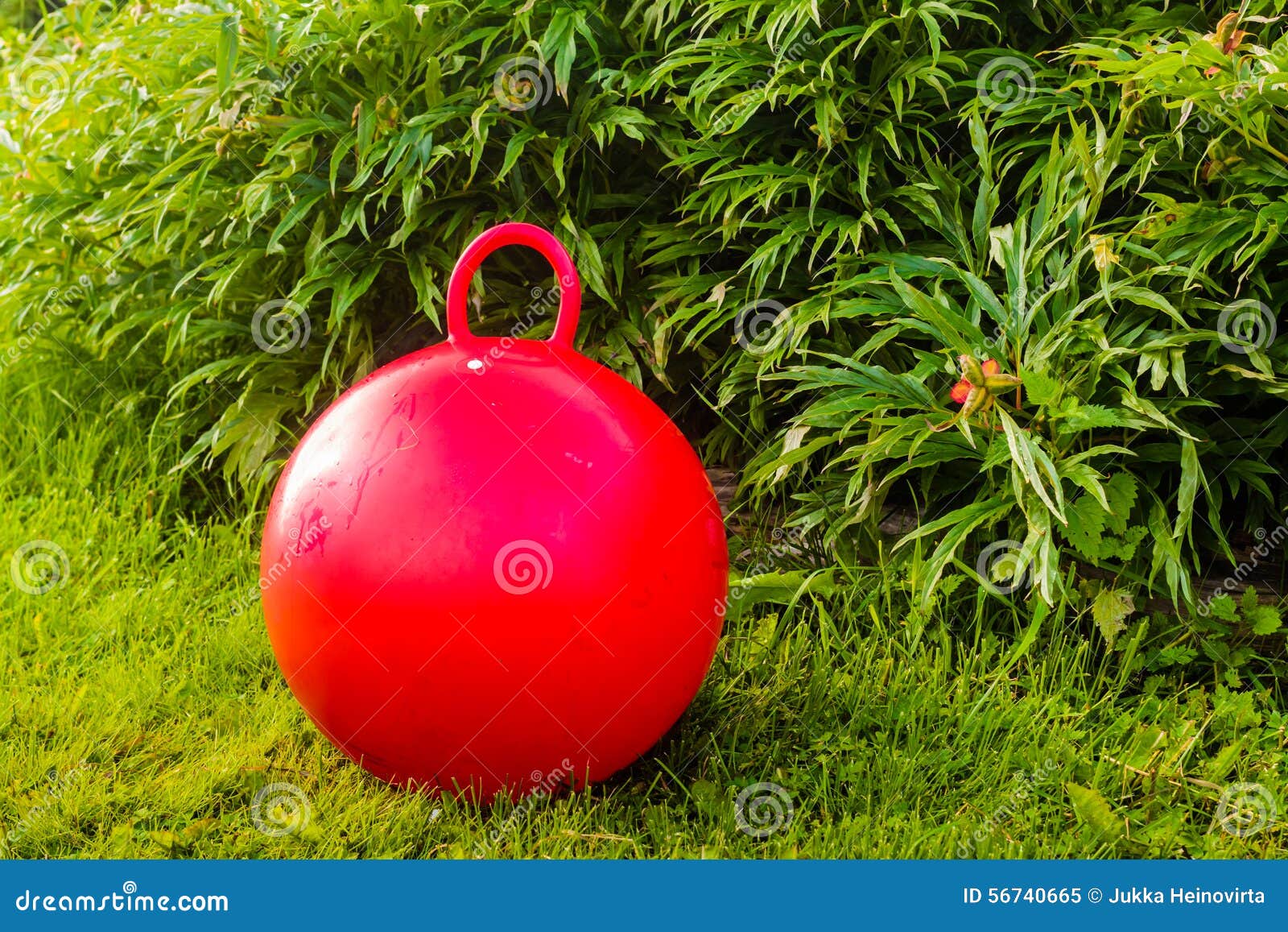 Red Rubber Ball stock image. Image of children, bush - 56740665