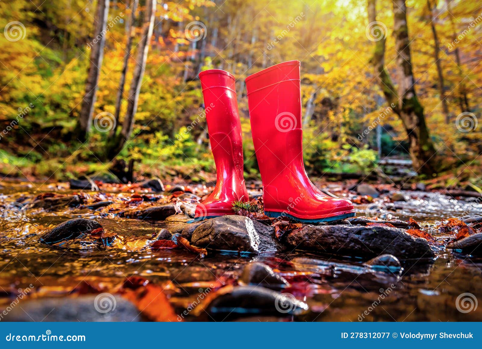 Red Rubber Boots on the Forest Stream Stock Image - Image of rainboots ...