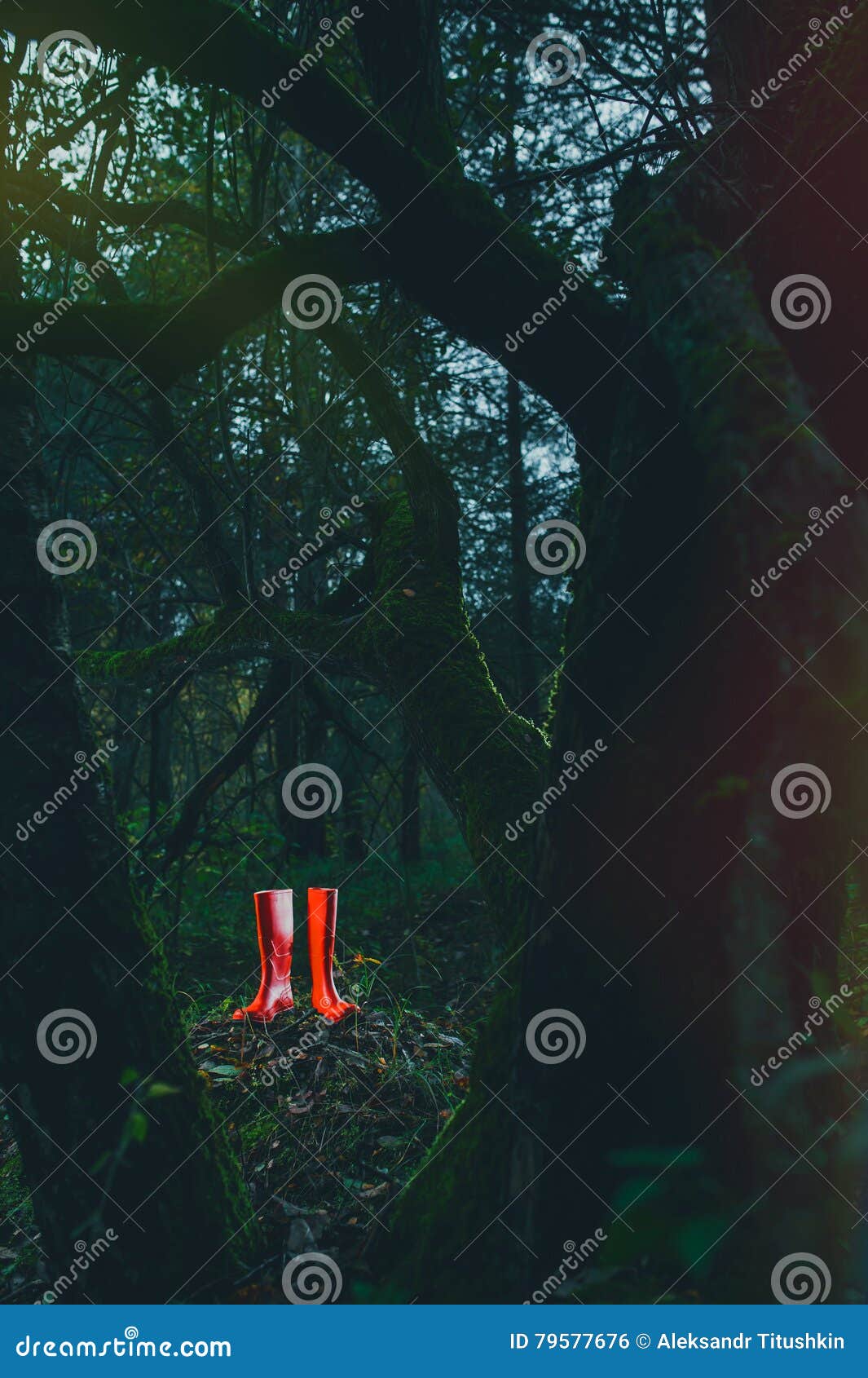Red Rubber Boots in the Forest Stock Photo - Image of resistant, green ...
