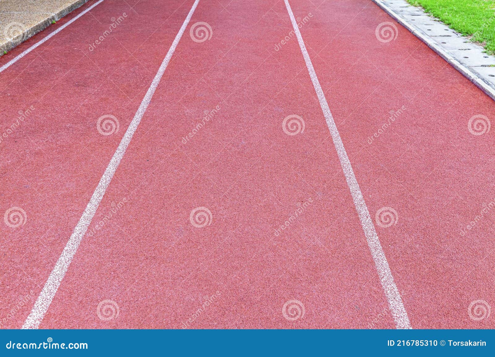 Rubber Running Track Flooring Texture and Background Stock Photo ...