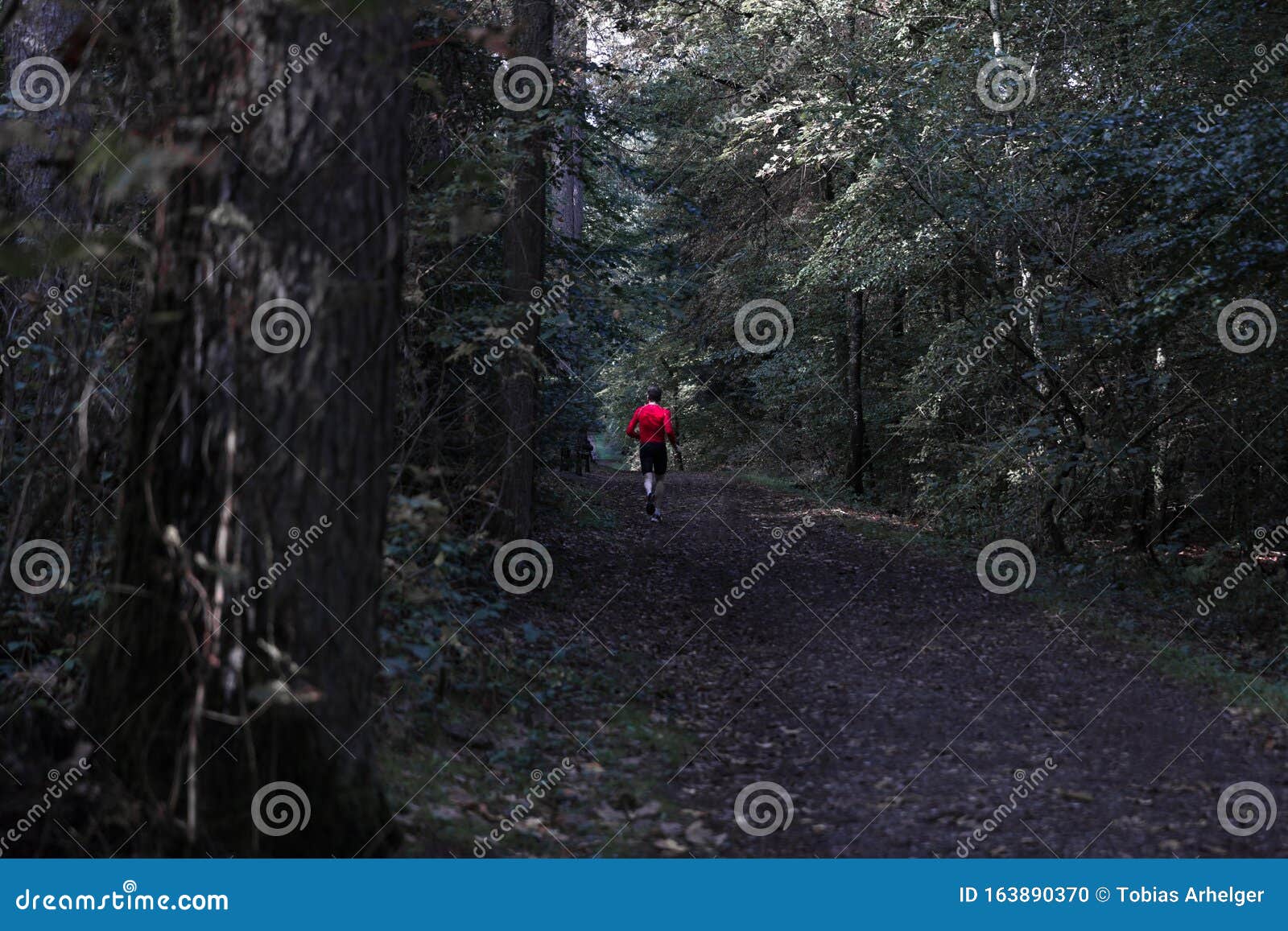 A runner in the forest stock photo. Image of runner - 163890370
