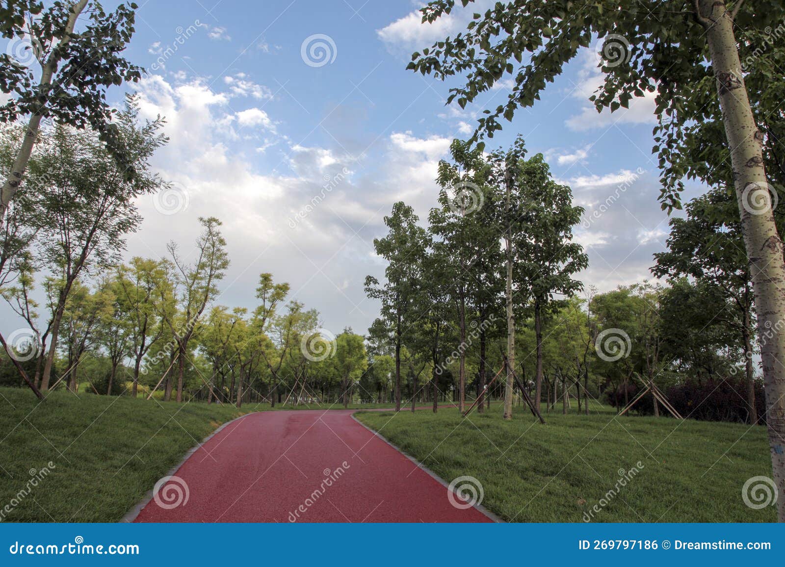 The Red Runway is Flanked by Green Grass and Trees Stock Photo - Image ...