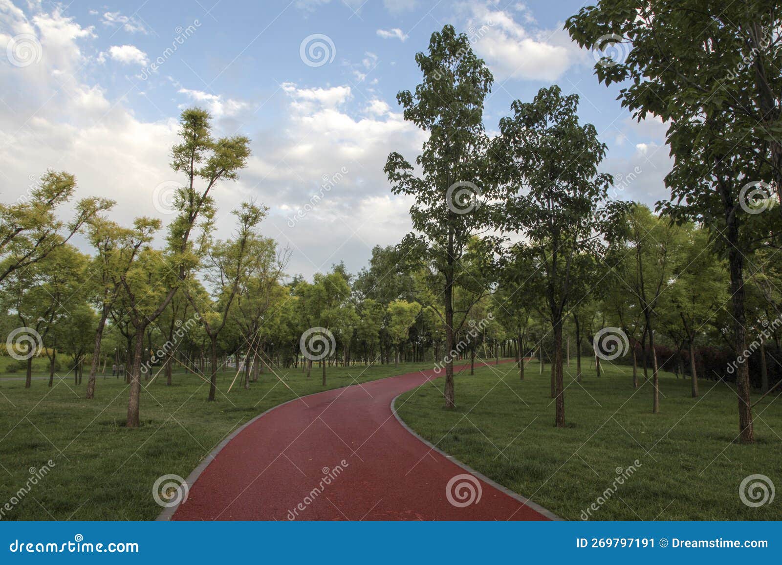 The Red Runway is Flanked by Green Grass and Trees Stock Image - Image ...