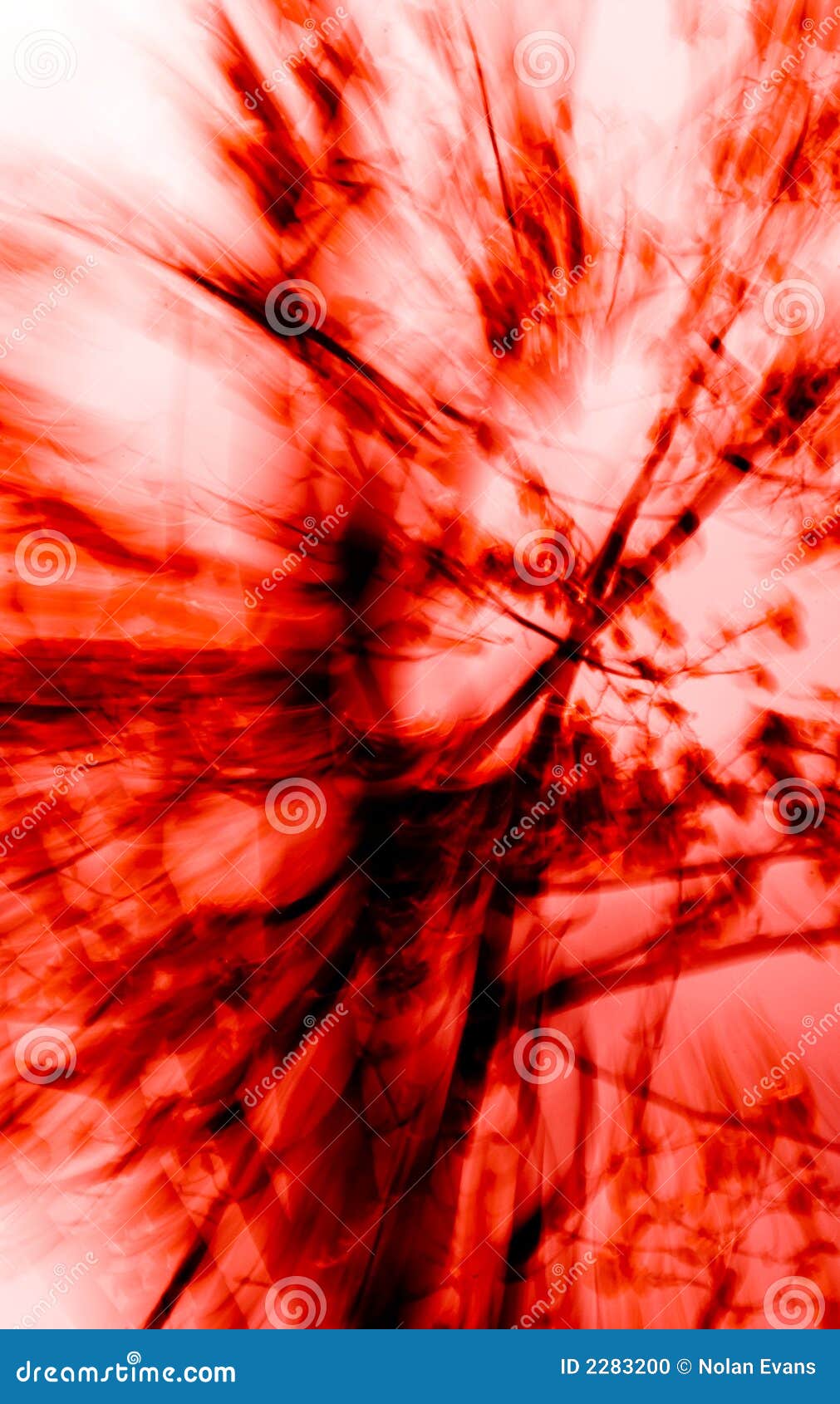 Red Rush into Trees #2 stock photo. Image of creation - 2283200