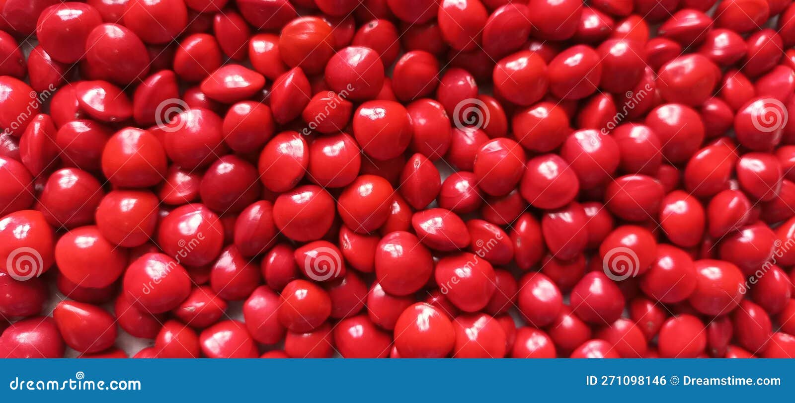 Red saga tree seeds stock photo. Image of pink, vegetable - 271098146