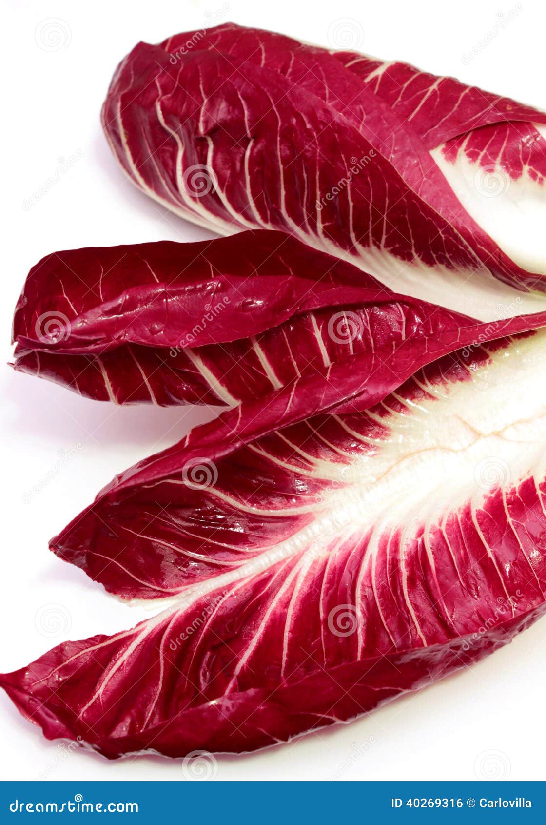 Red salad stock photo. Image of green, blurred, vegetable - 40269316