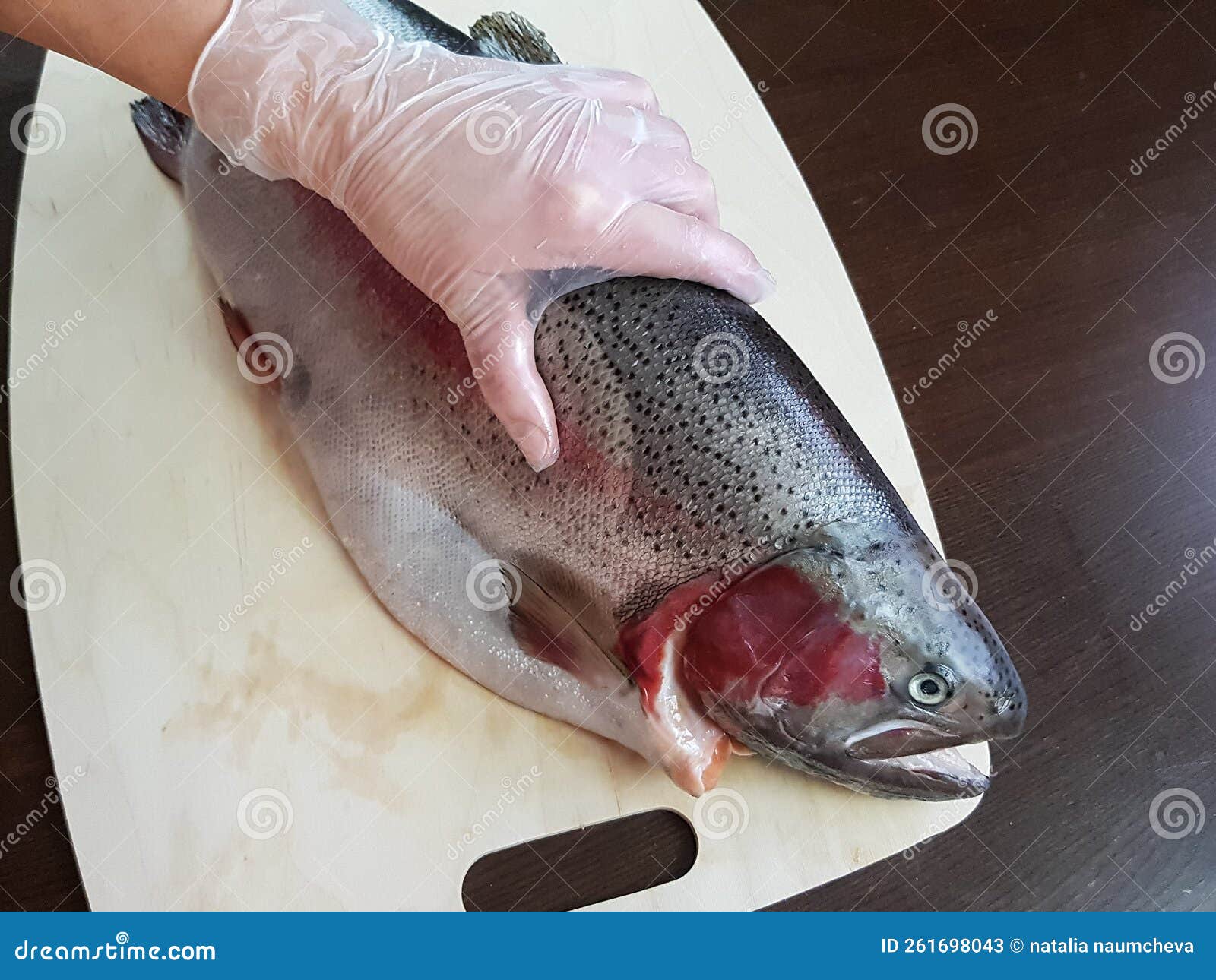 Red Salmon Fish in the Hands of the Cook. Cutting Fish. Stock Image ...