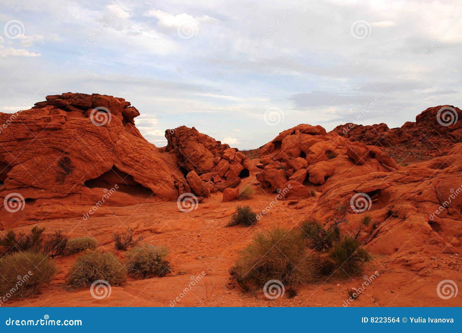 Red sand stock photo. Image of nevada, country, flora - 8223564