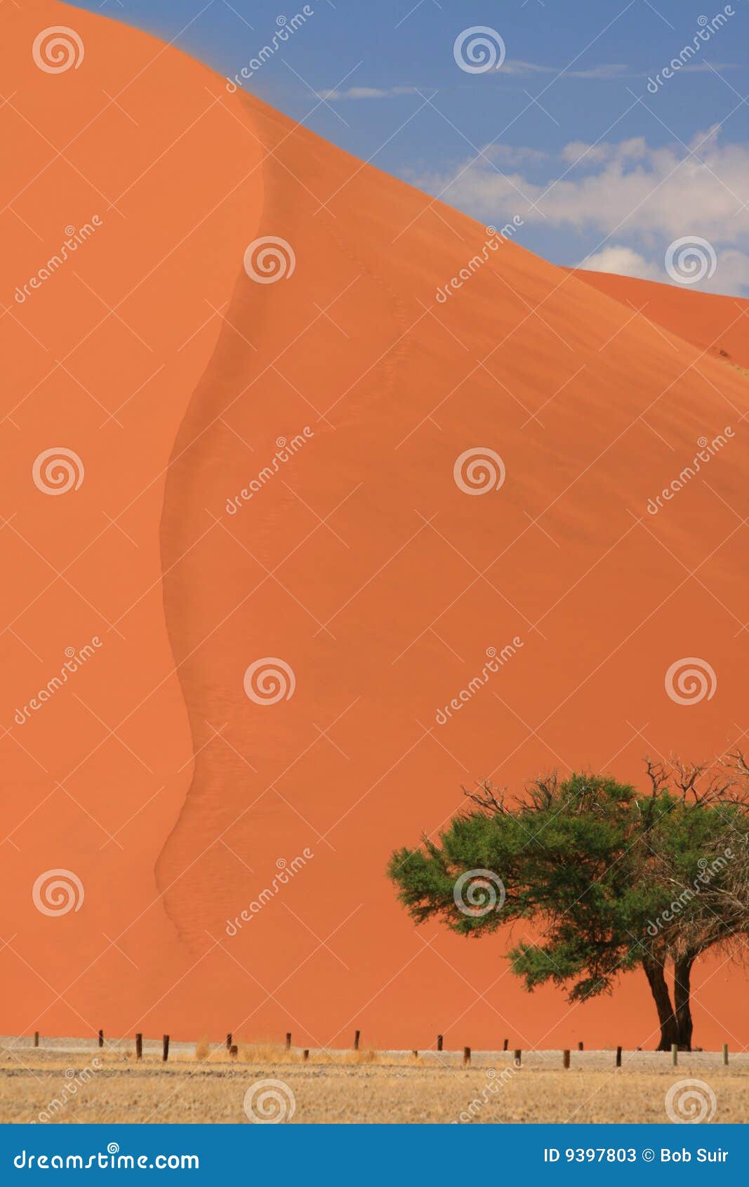 Red Sand Dune Sossusvlei Namib Naukluft National Park Safari Namibia ...
