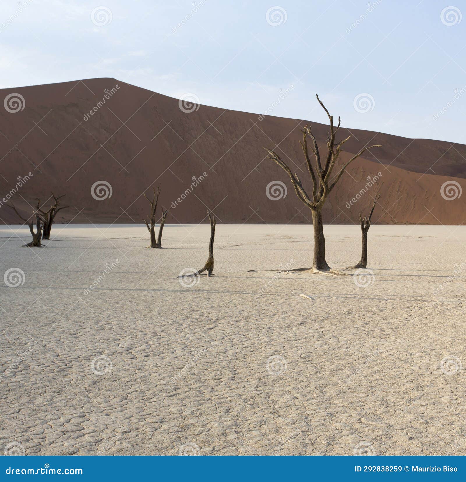 Red Sand Dunes, Salt Ground and Dead Trees, the Landscape at Deadvlei ...
