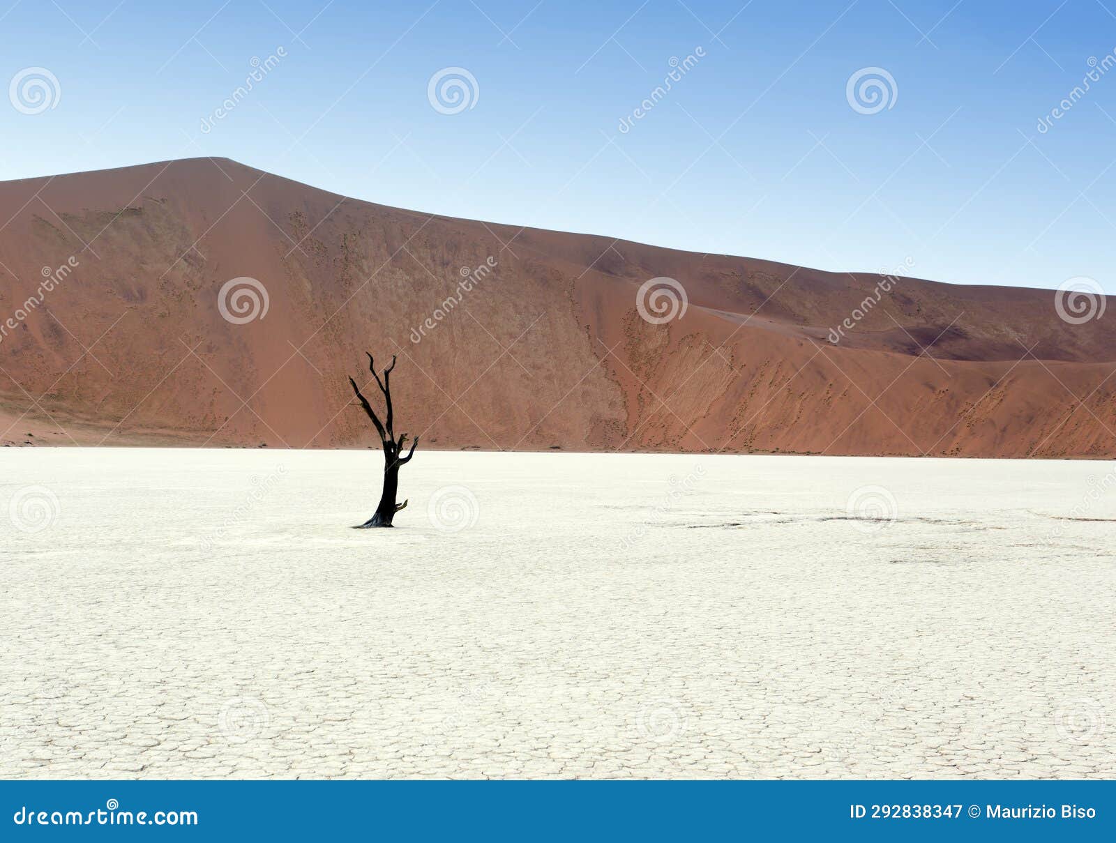 Red Sand Dunes, Salt Ground and Dead Trees, the Landscape at Deadvlei ...