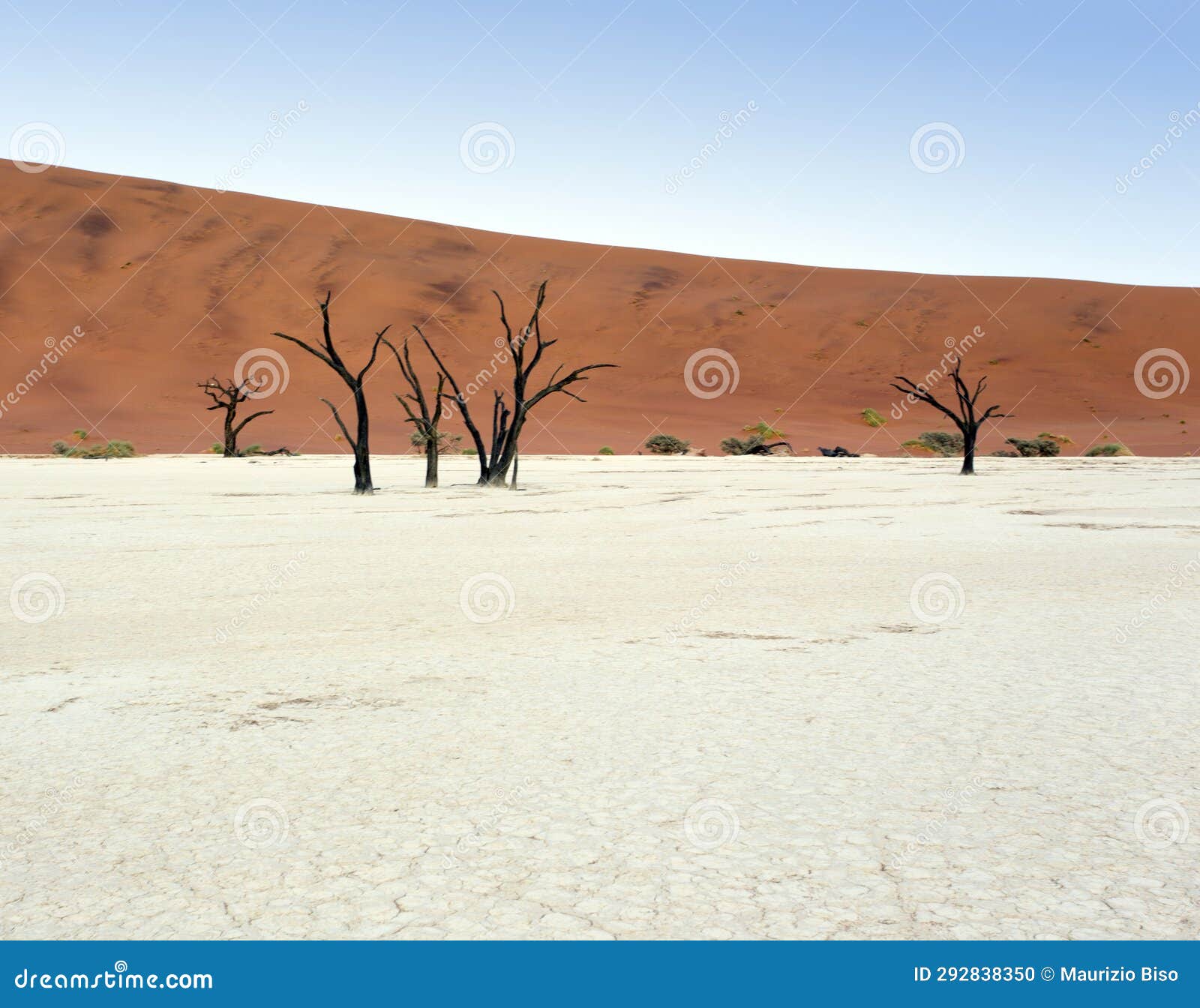 Red Sand Dunes, Salt Ground and Dead Trees, the Landscape at Deadvlei ...