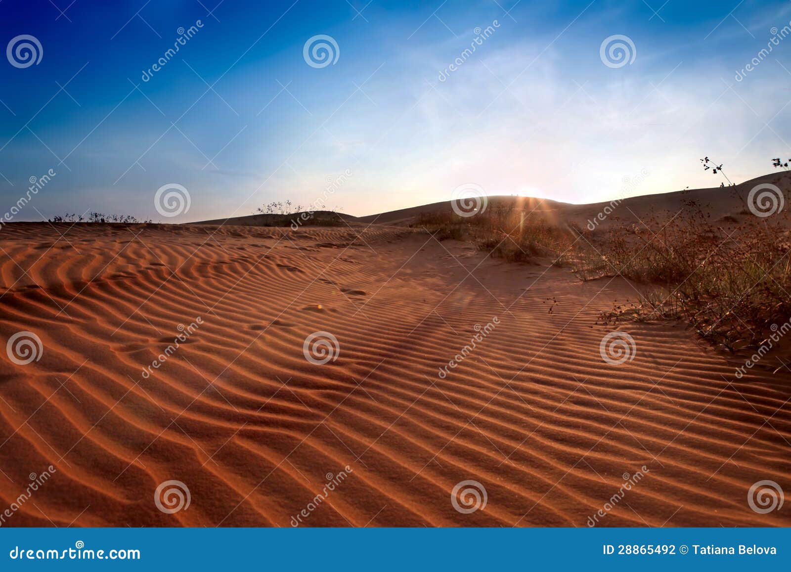 Red Sand Dunes. Sunset stock photo. Image of thirst, outdoor - 28865492