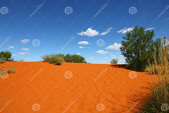 Red sand hill (Australia) stock image. Image of rock - 26364841