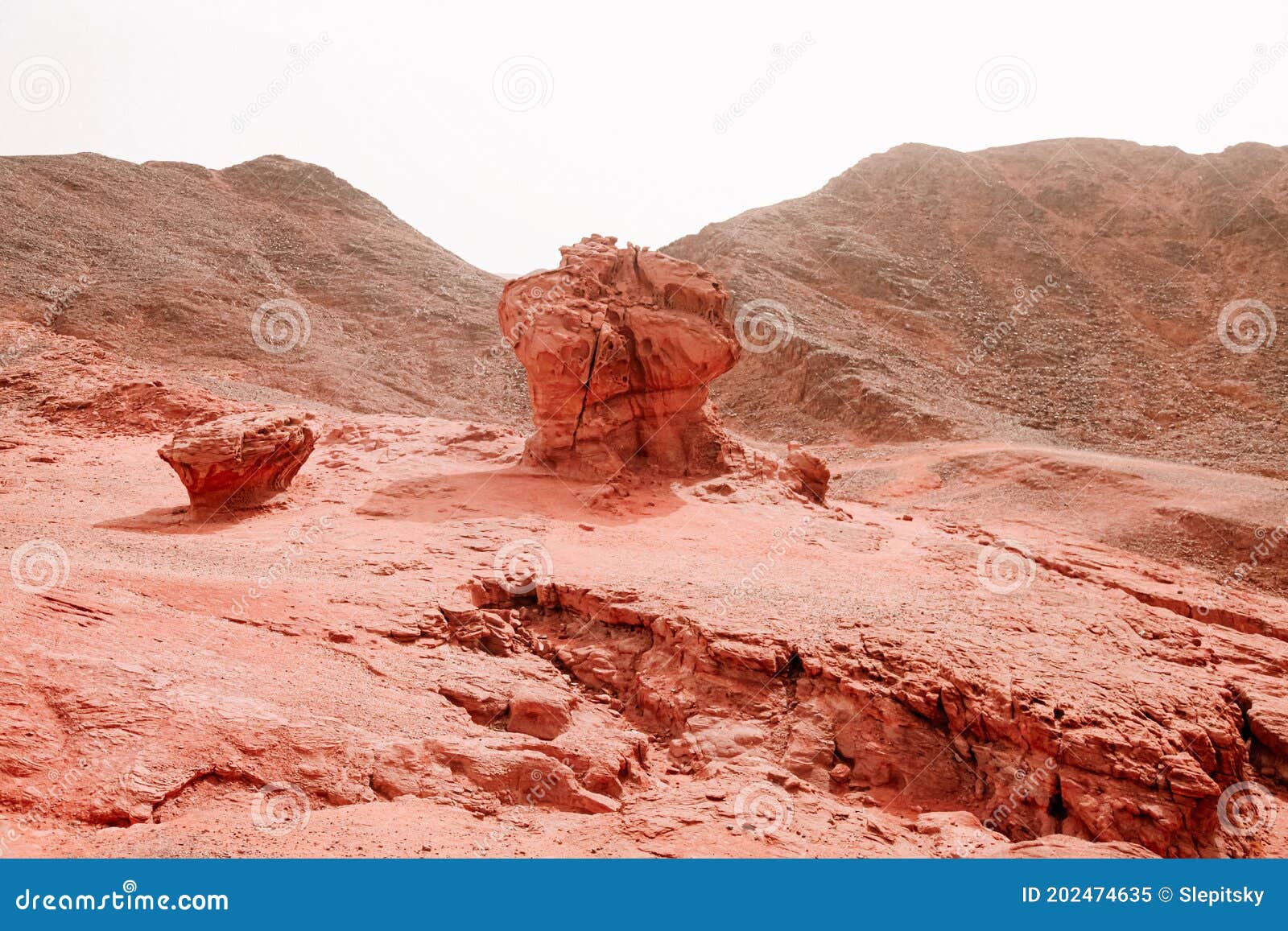 The Red Sand Rocks in Timna Park, Israel Stock Image - Image of nature ...