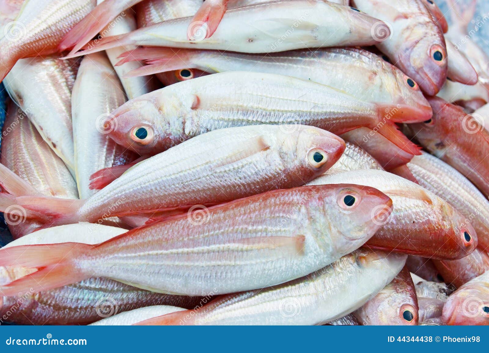 Red Sea Bream Fish Stock Photo - Image: 44344438