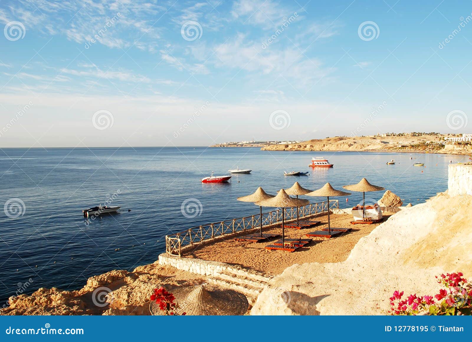 Red sea coast stock image. Image of climate, beauty, coastline - 12778195