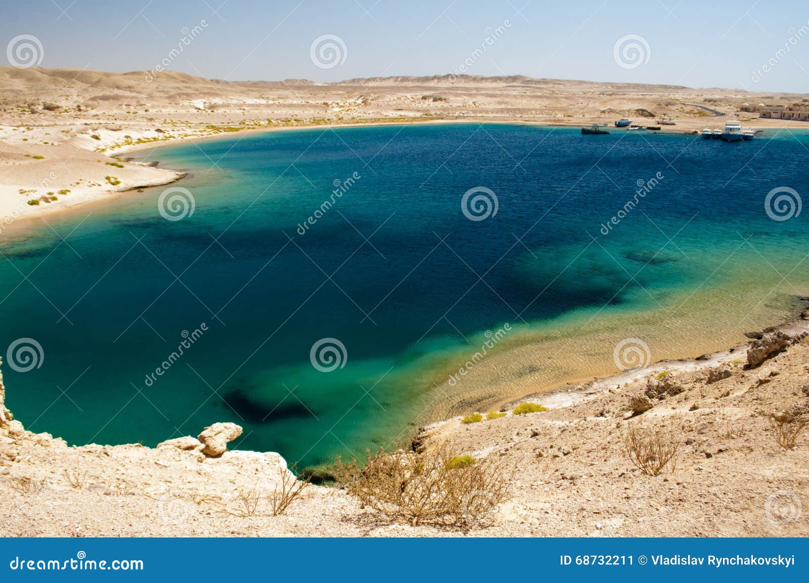 Red sea coast stock image. Image of marina, beauty, animal - 68732211
