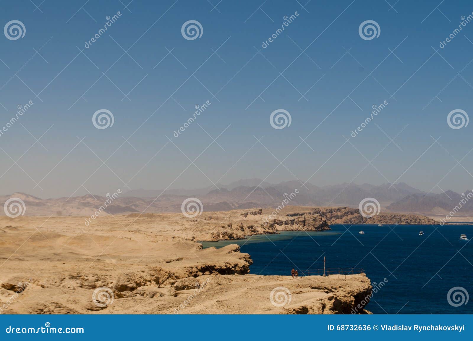 Red sea coast stock photo. Image of reef, hills, colony - 68732636