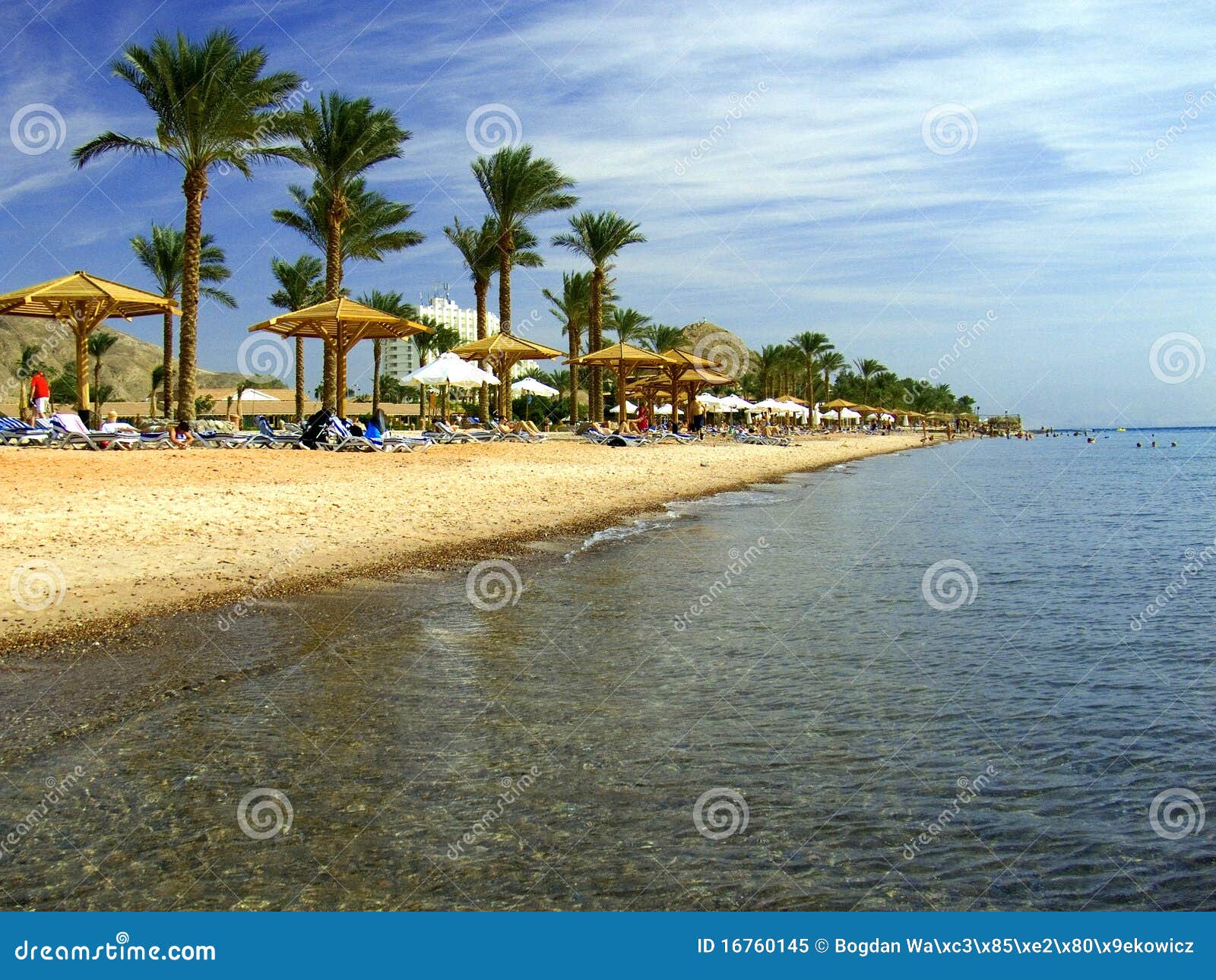 Red Sea Coast, Sinai, Egypt Stock Image - Image of beach, palms: 16760145