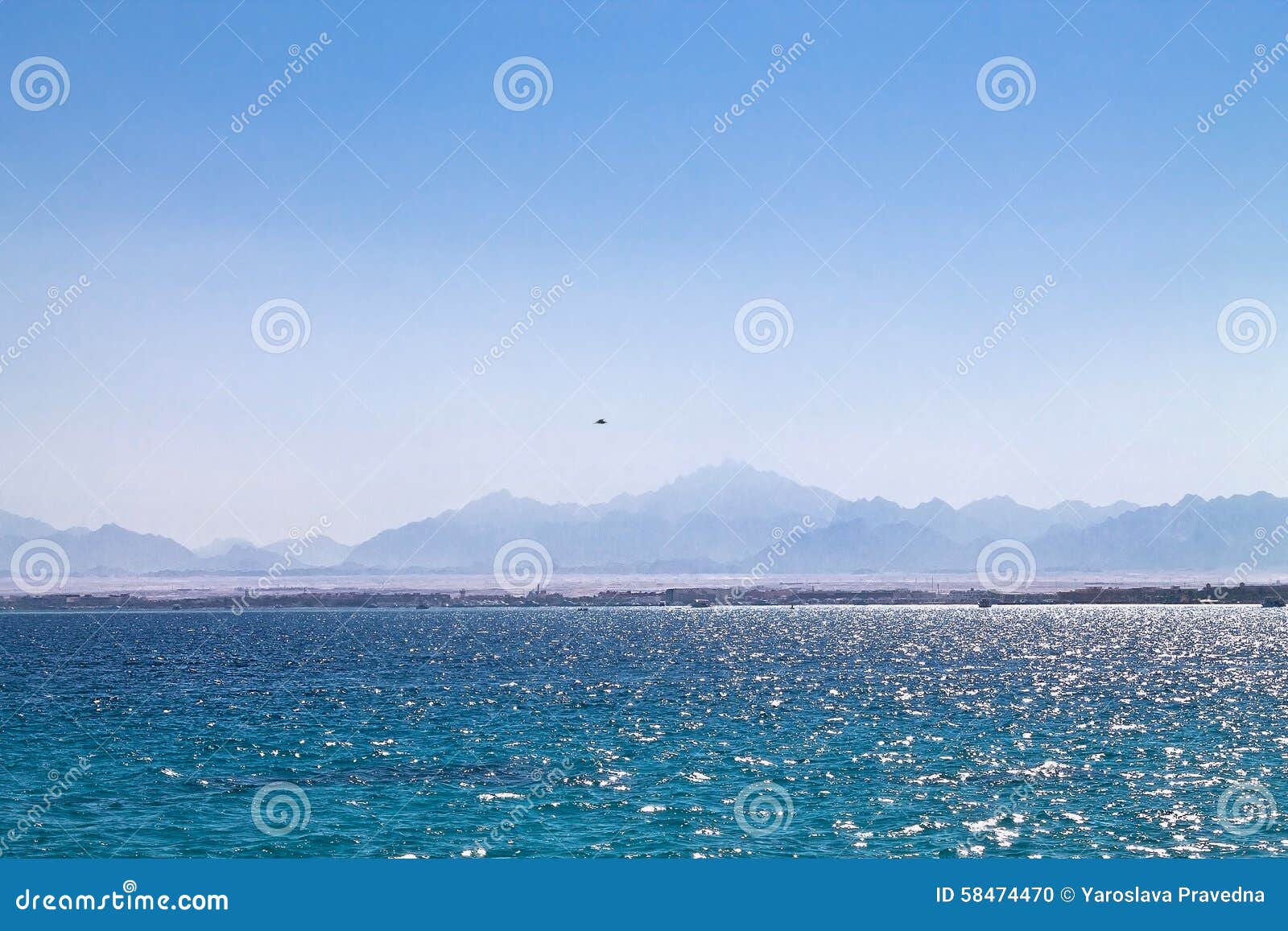 The Red Sea coast stock photo. Image of coast, waves - 58474470