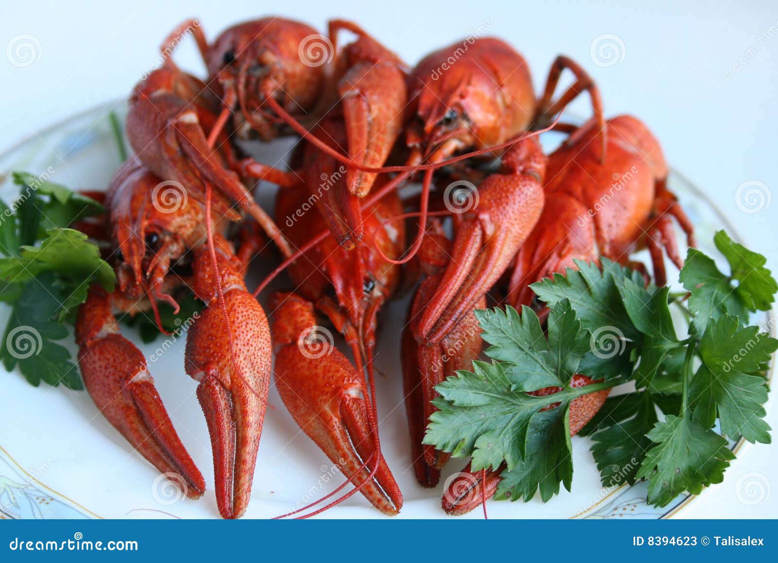 Red sea food stock image. Image of gourmet, freshwater - 8394623