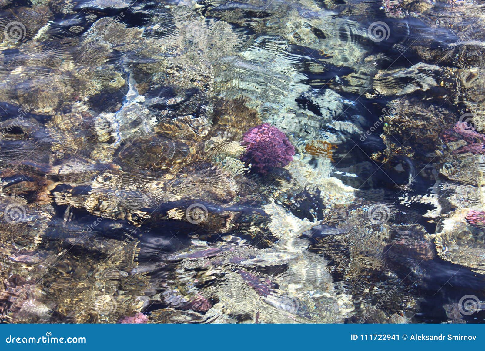 The Red Sea stock image. Image of landscape, white, holiday - 111722941