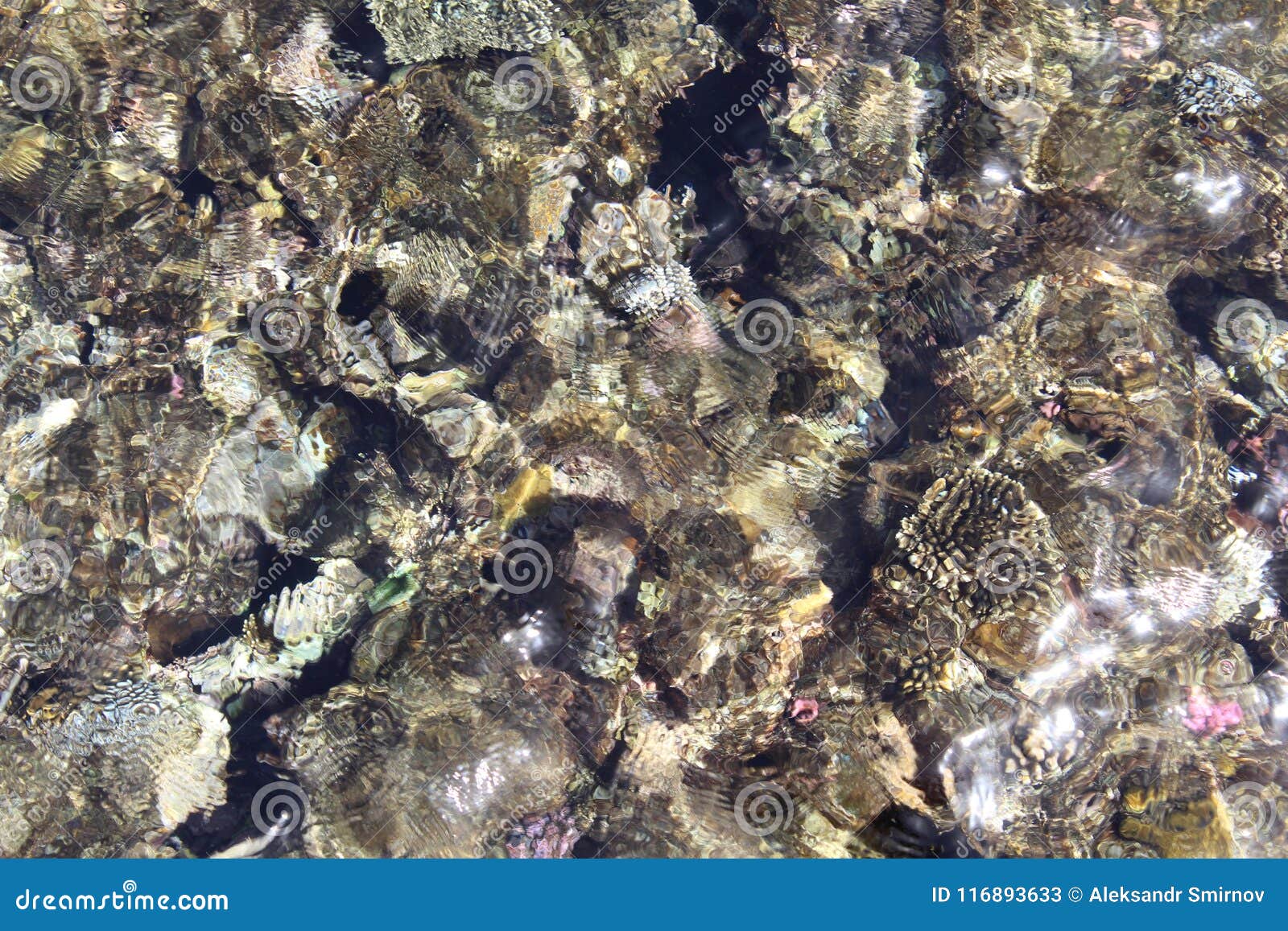 The Red Sea stock image. Image of nature, white, water - 116893633