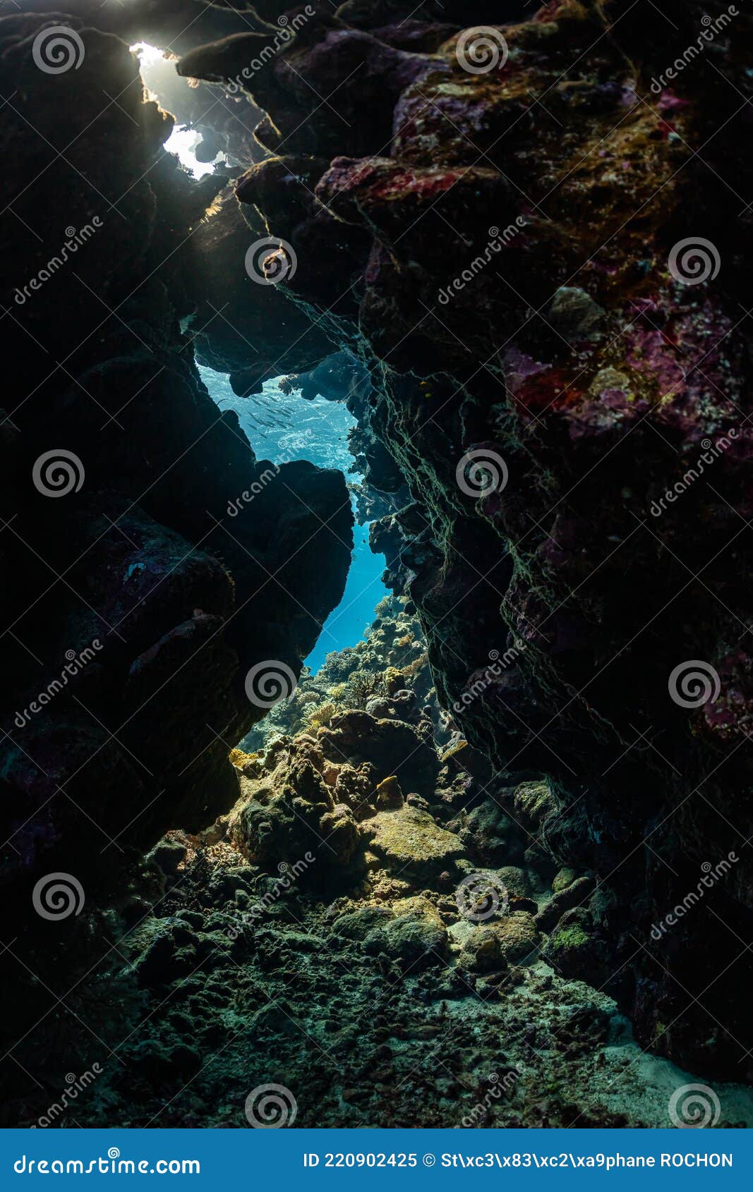 Red sea reef cave entrance stock image. Image of adventure - 220902425