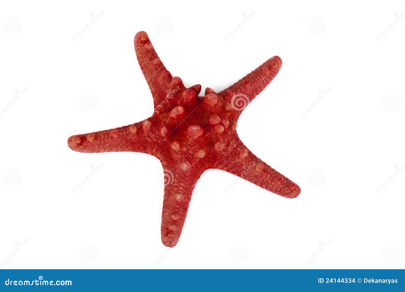 5,736 Single Red Star Stock Photos - Free & Royalty-Free Stock Photos ...