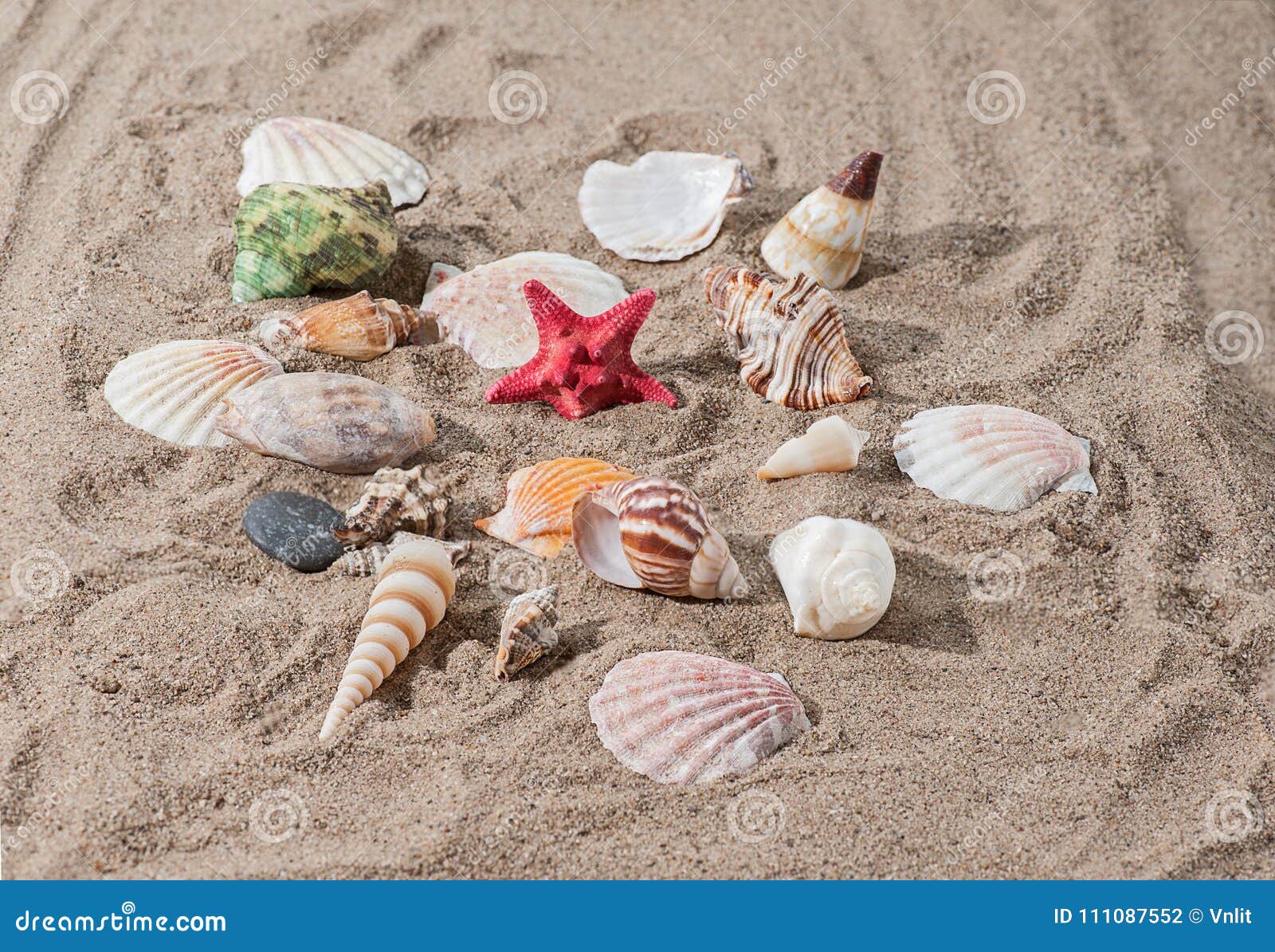 Sea star on sand stock photo. Image of star, color, shell - 111087552