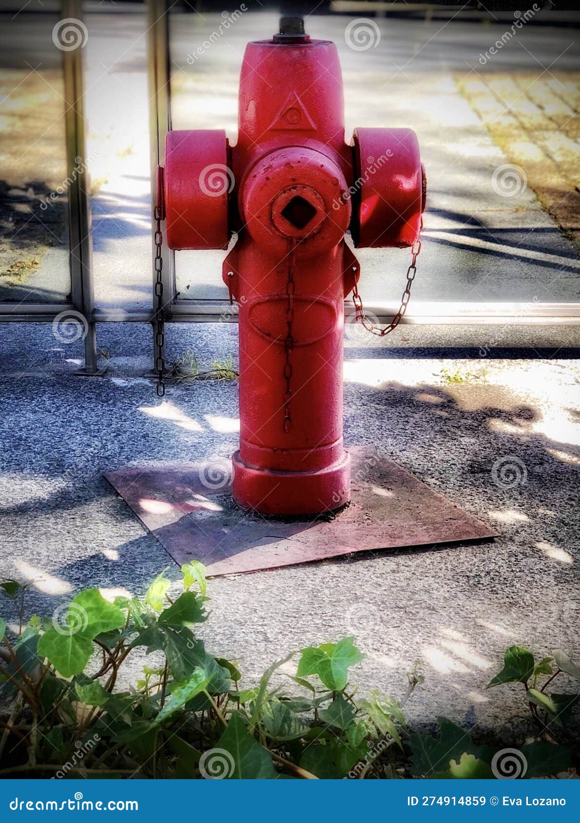 Fire hydrant stock image. Image of firefighters, water - 274914859