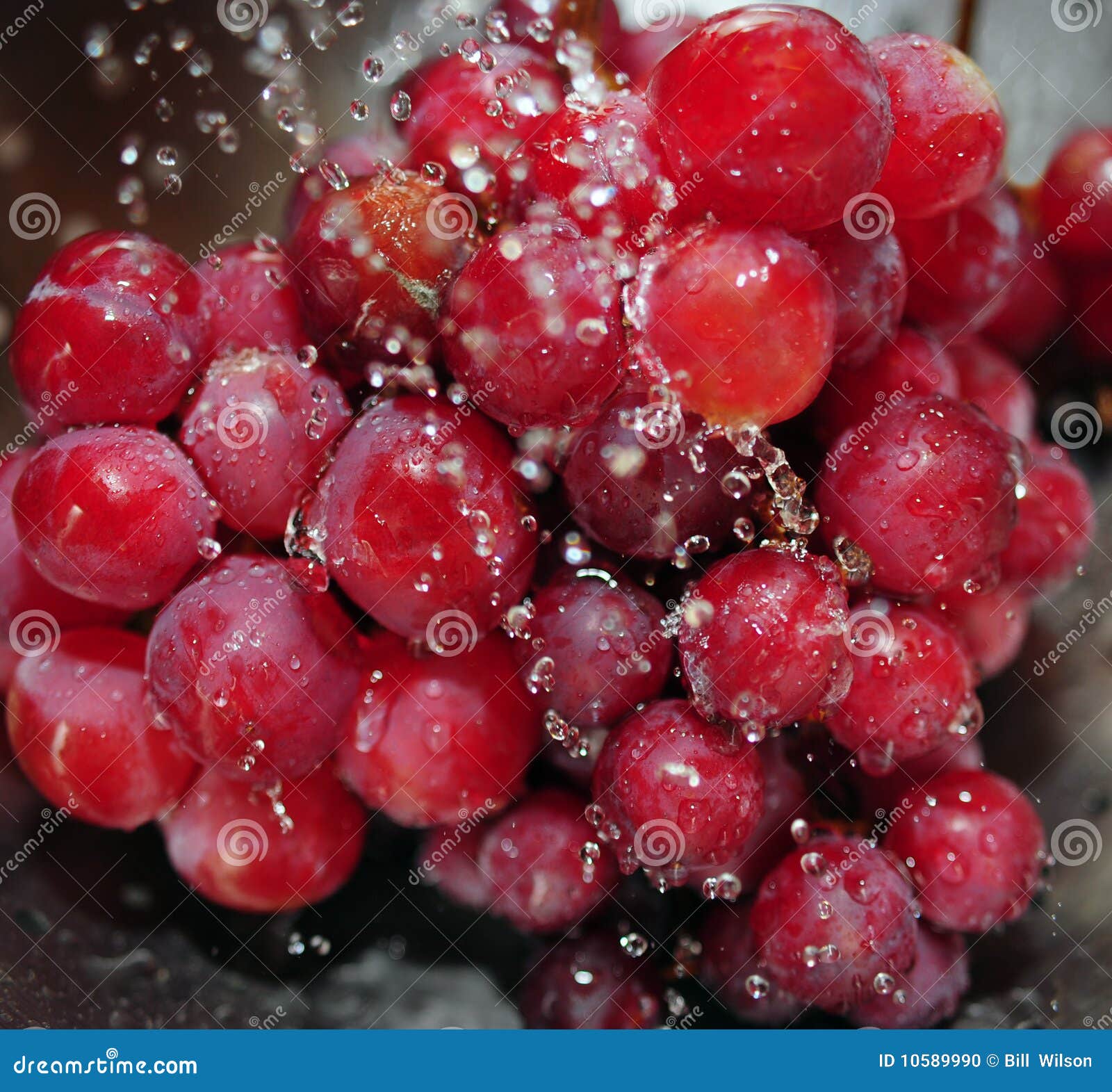 Red Seedless Grapes stock photo. Image of water, seedless - 10589990