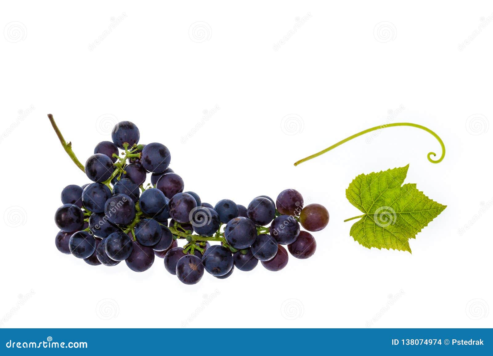 Red Seedless Table Grapes with Leaf on White Background Stock Photo ...