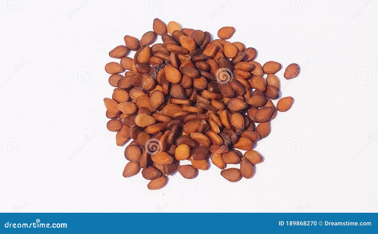 Red Sesame is Placed on Top of the White Background Stock Photo - Image ...