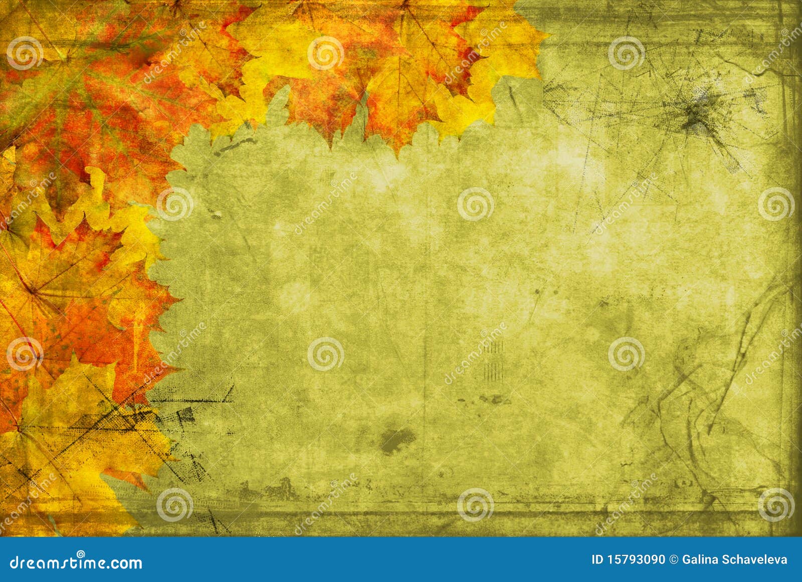 621 Maple Sheets Photos - Free & Royalty-Free Stock Photos from Dreamstime