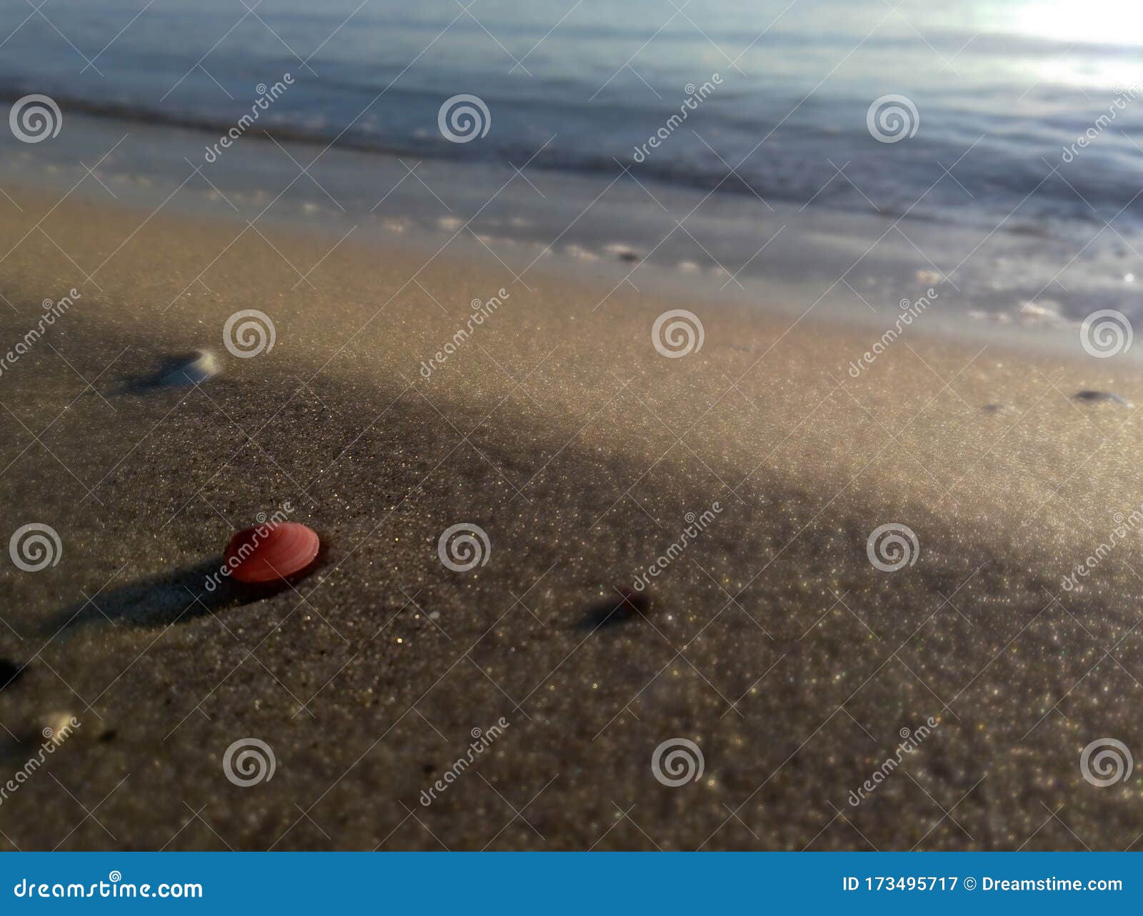 Red shell on the shore stock image. Image of outdoor - 173495717