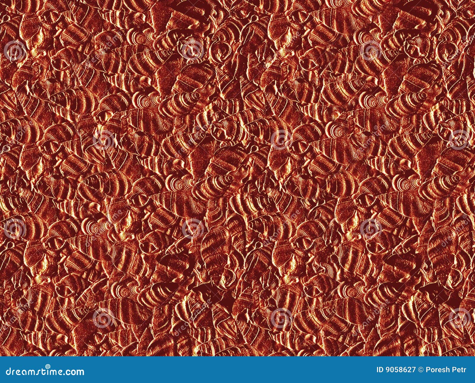 Red shell texture stock image. Image of mollusc, stone - 9058627