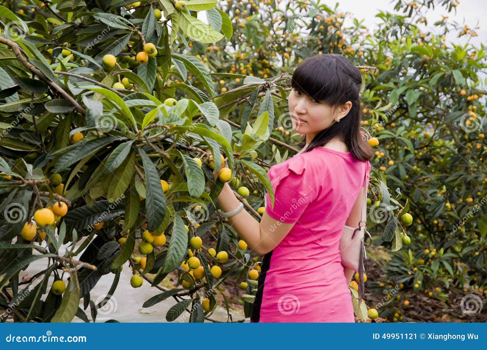 Red Shirt Girl And Loquat Stock Image Image Of Chines 49951121