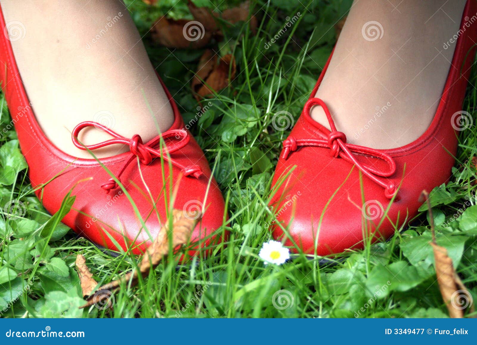 Red shoes stock image. Image of ribbon, foot, color, flower - 3349477