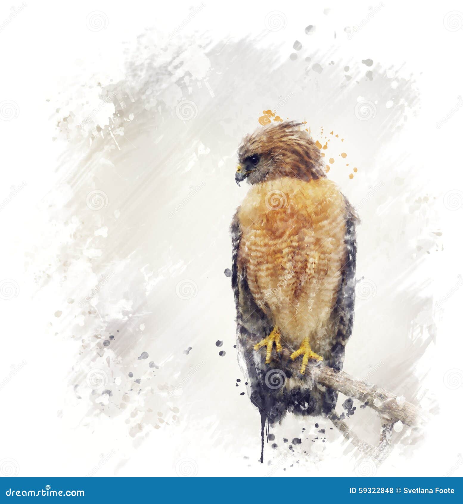 Red-Shouldered Hawk Animal. AI Generated. Stock Illustration ...