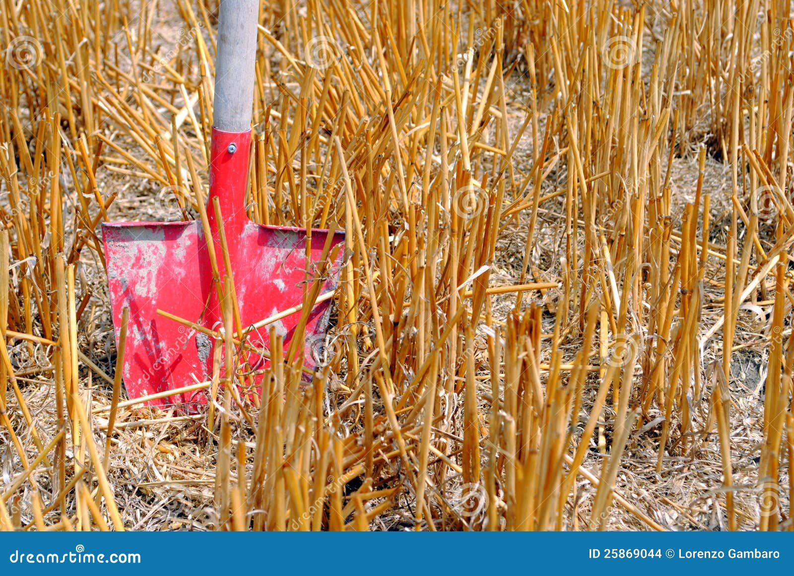 Red shovel stock photo. Image of finger, brown, grow - 25869044