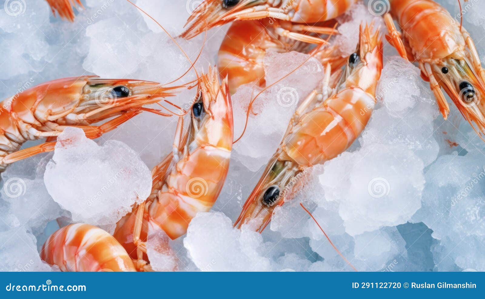 Red Shrimp Prawn in the Ice on the Market Stock Photo - Image of ...