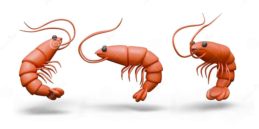 Red Shrimp in Realistic Style. Underwater Creature in Different Poses ...