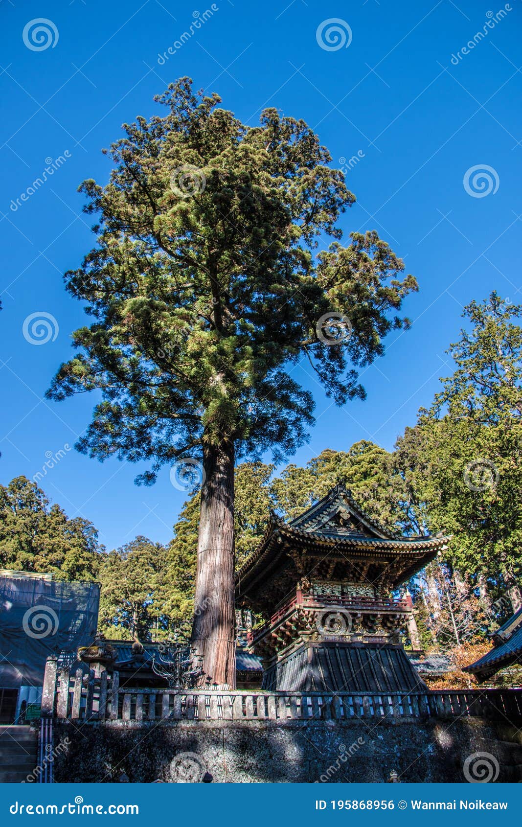 Red Shrine stock photo. Image of odaiba, overlooking - 195868956