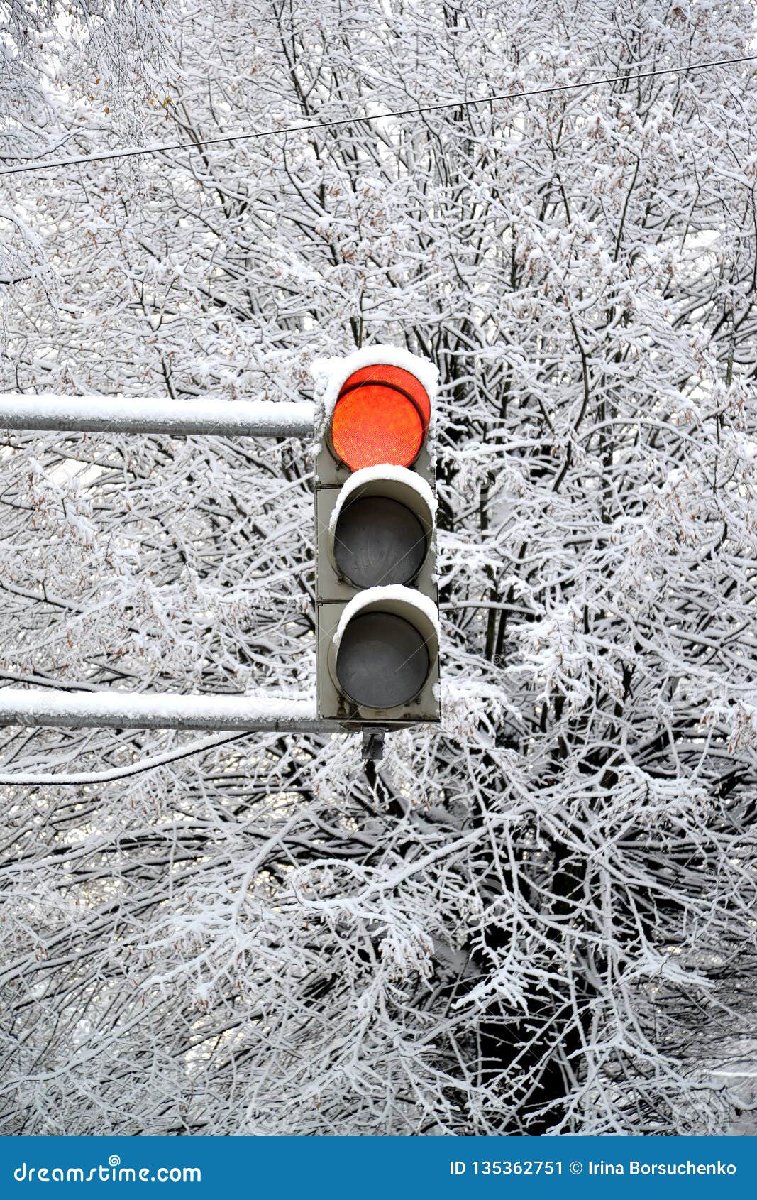 Red Signal of the Traffic Light Against the Background of Snow-covered ...